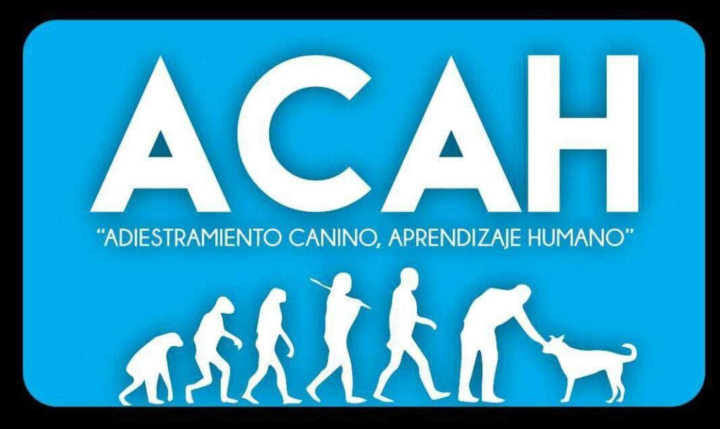 ACAH – Directorio ProEmpleo León
